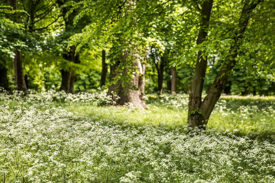 Journal - Daylesford Stays